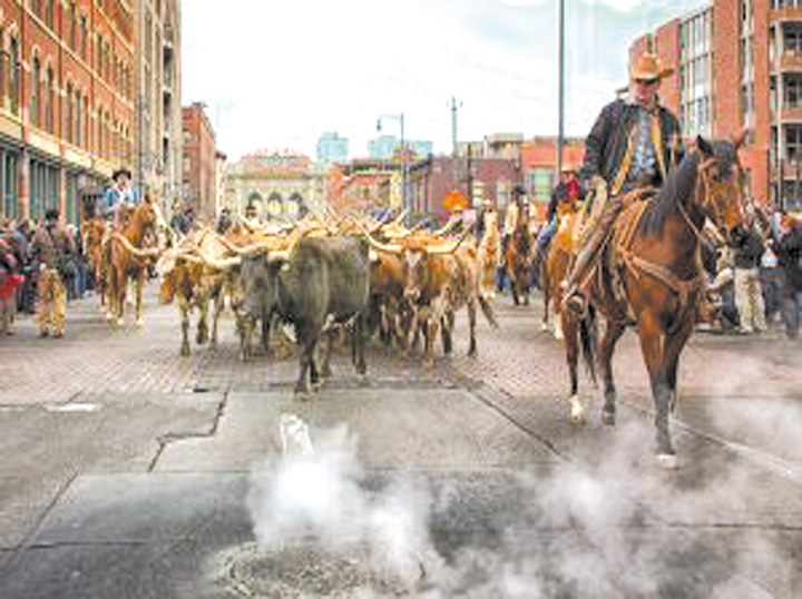 2020 National Western Stock Show & Rodeo