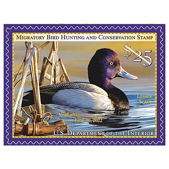 Rocky Mountain Stamp Show May 26-28 Celebrates ‘The Birds of Colorado’