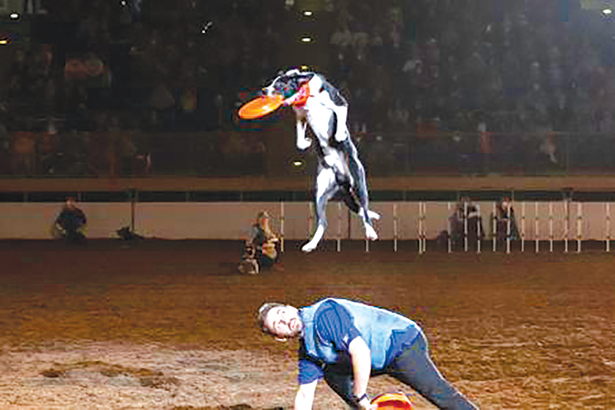 The National Western Stock Show & Rodeo