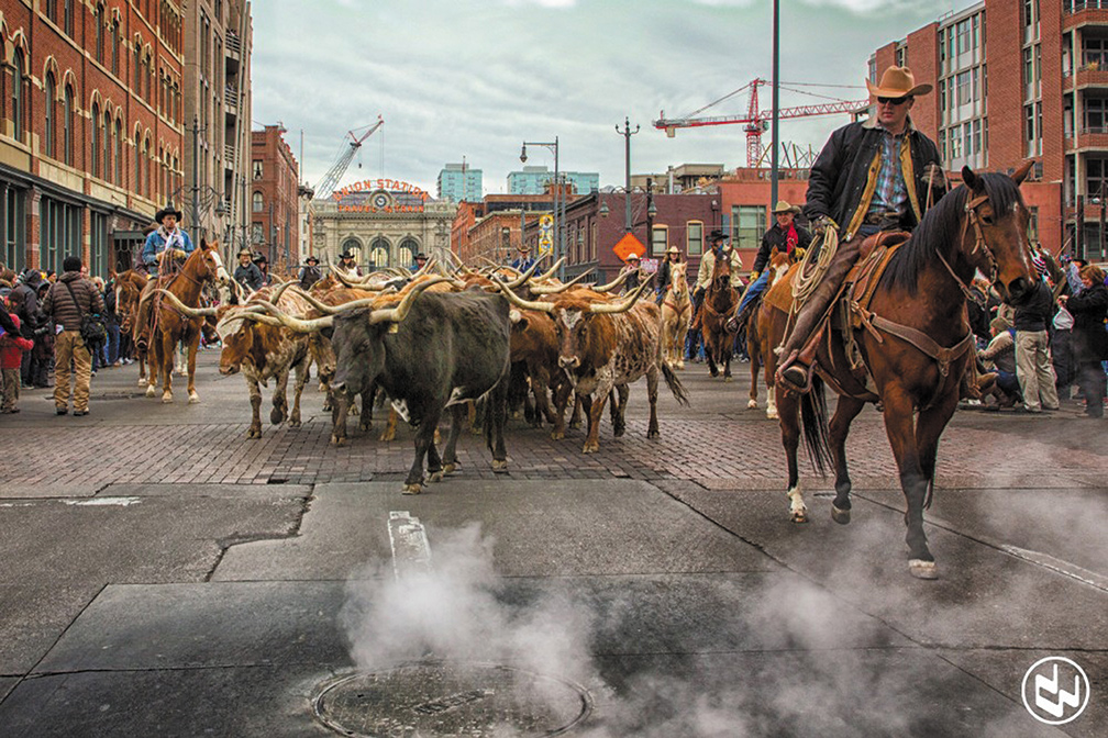 The 120th Edition of the National Western Stock Show